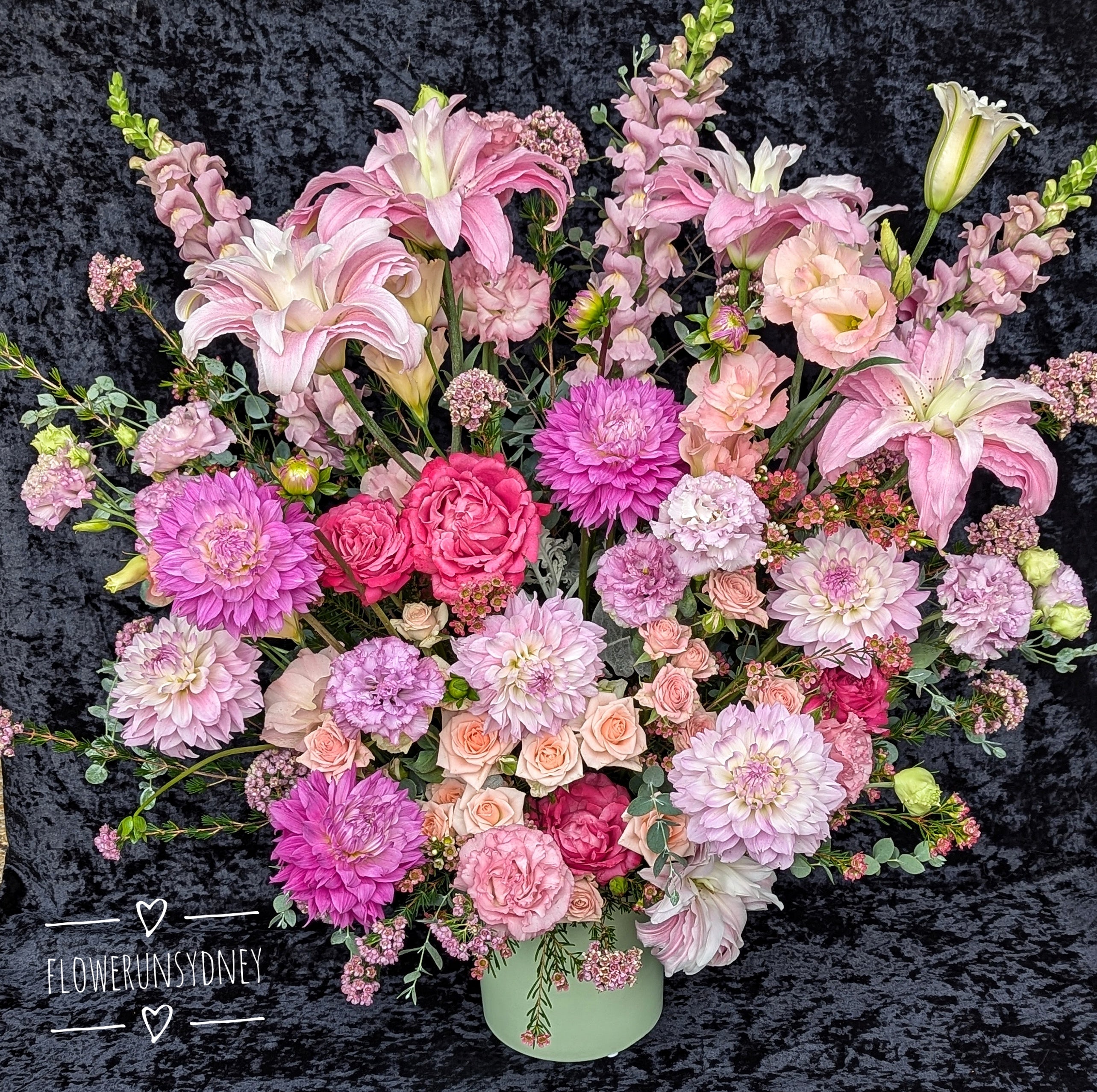 Ross lily spectacular | FLOWERUN